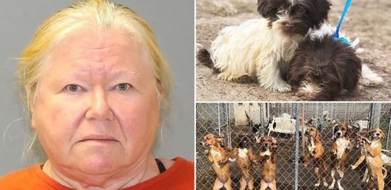Shocking Discovery: 44 Frozen Dogs Found